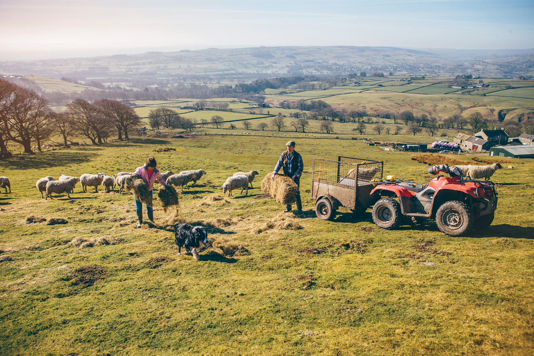 Farm Apprenticeships - Grit